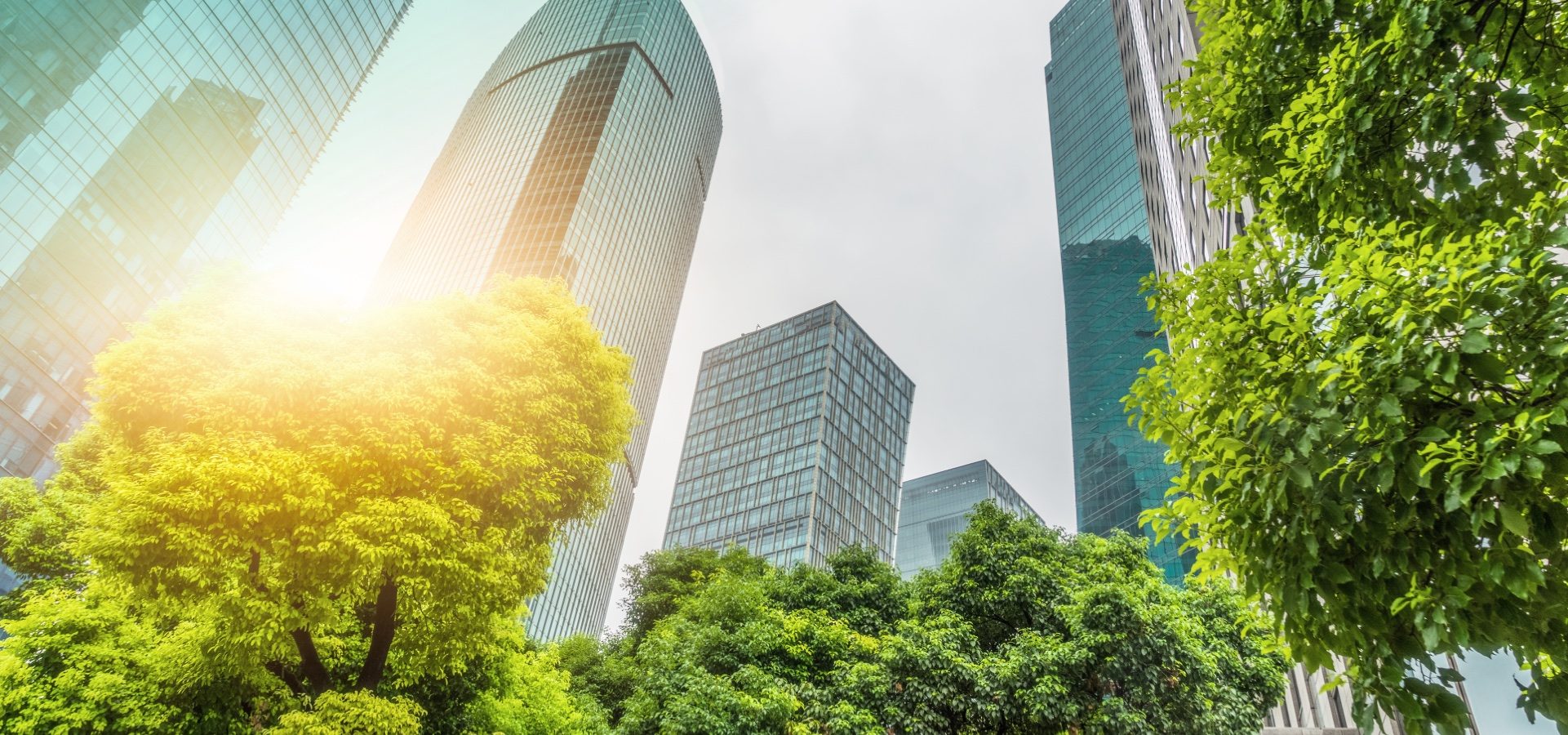 Environmental and Social Governance ESG | Craft